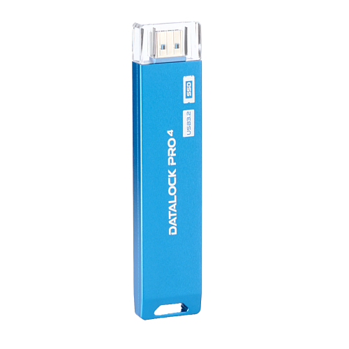Флешка с аппаратным шифрованием DataLock PRO4 Blue 256 Gb USB 3.2 ...